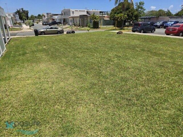 Calle, Bayamon, Plot For Sale
