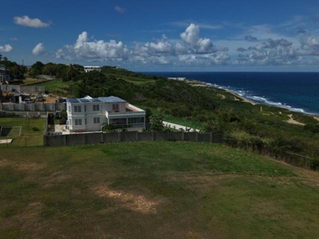 Calle Begonia Lot,isabela, Plot For Sale