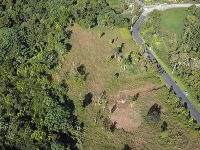 Calle Camino, Caguas, Plot For Sale
