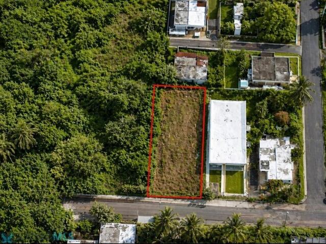 Calle Caoba, Isabela, Plot For Sale