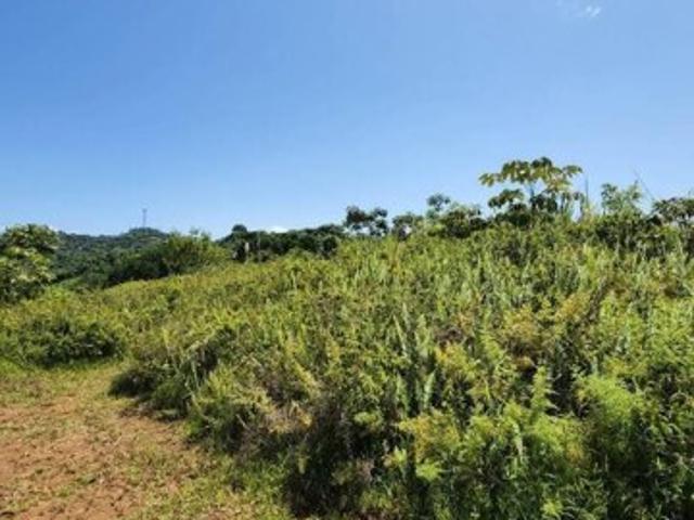 Calle Carolina #,mayaguez, Plot For Sale