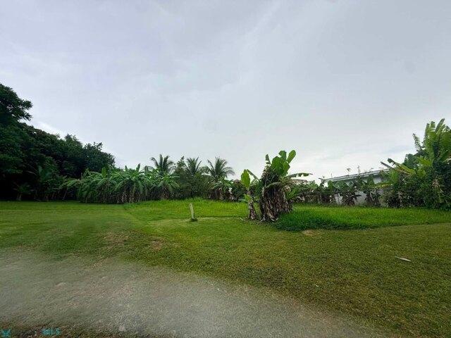 Calle Concepcion Vera Unit Pr, Moca, Plot For Sale