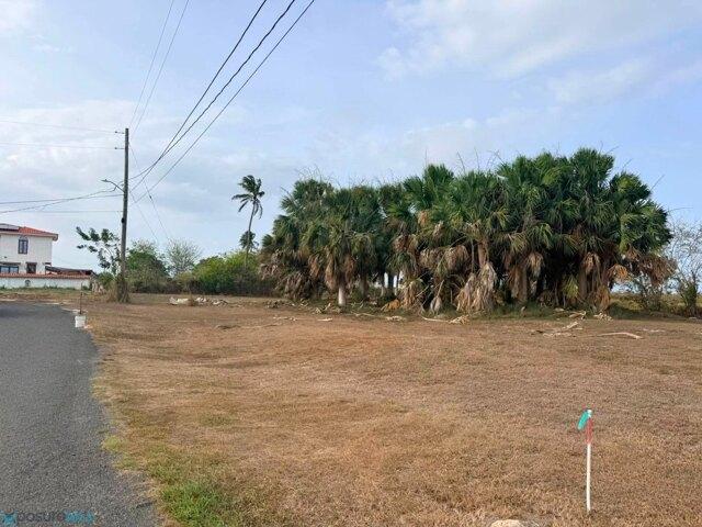 Calle Crucero Este Unit Pr Unit Pr, Isabela, Plot For Sale