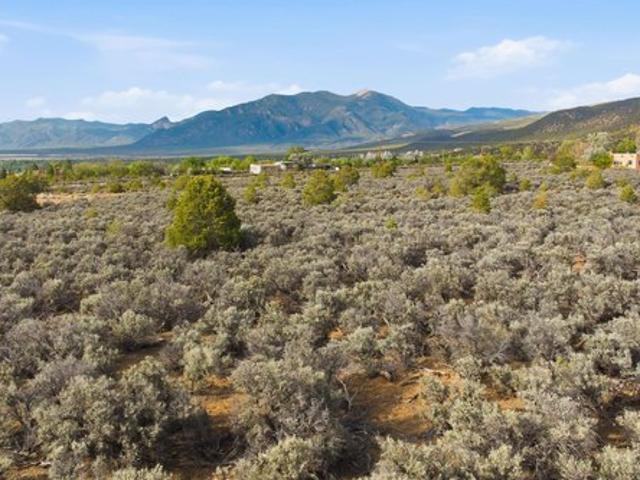 Calle Cuervo off Paseo Del Canon 3 Plus Acres, Taos, NM 87571