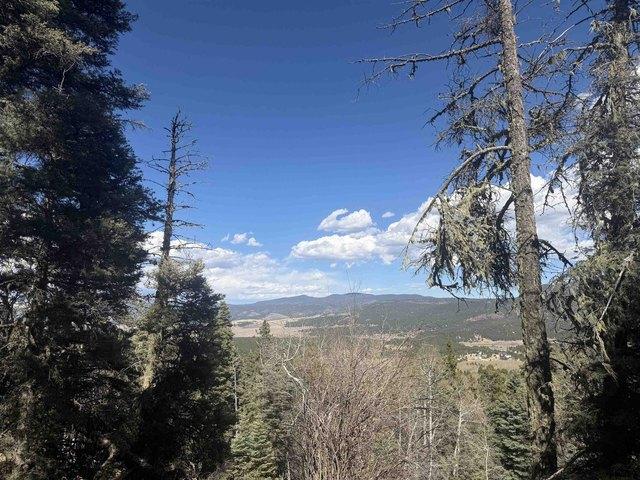 Calle De Los Caballeros Lot 1443, Angel Fire, NM 87710