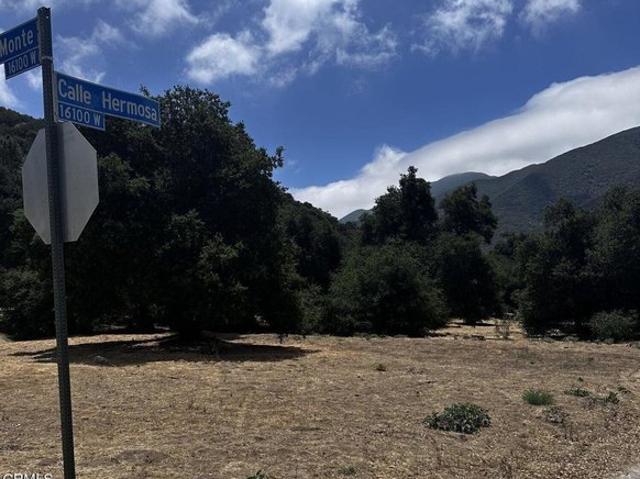Calle Hermosa, Green Valley, CA 91390