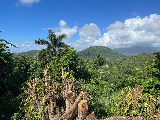 Calle #,naguabo, Plot For Sale