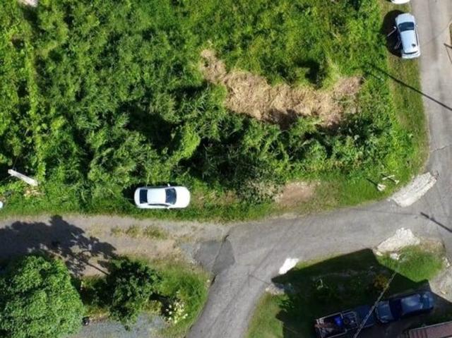 Calle Olivo, Lares, Plot For Sale