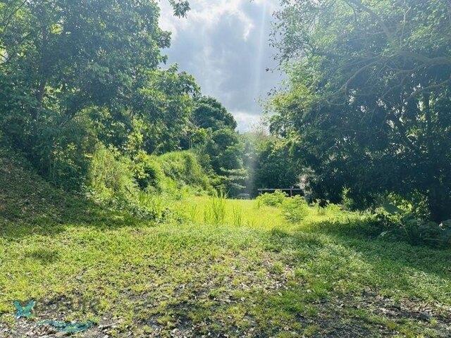 Calle Pepe Torres, Bayamon, Plot For Sale