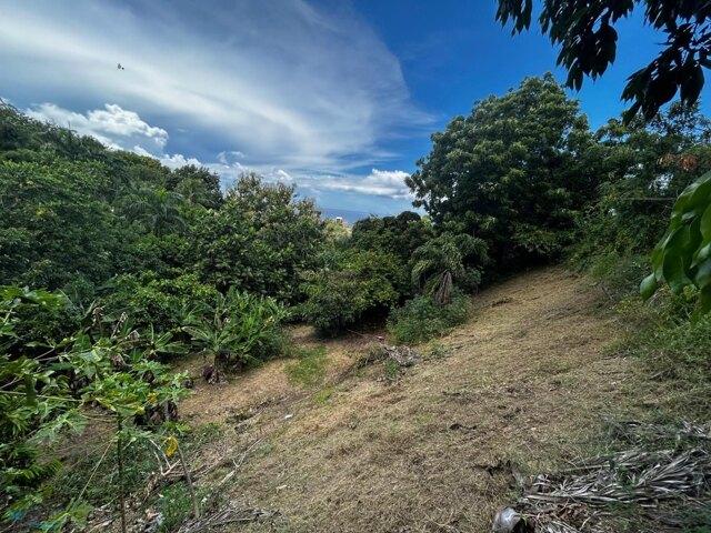 Calle Princesas Path, Rincon, Plot For Sale