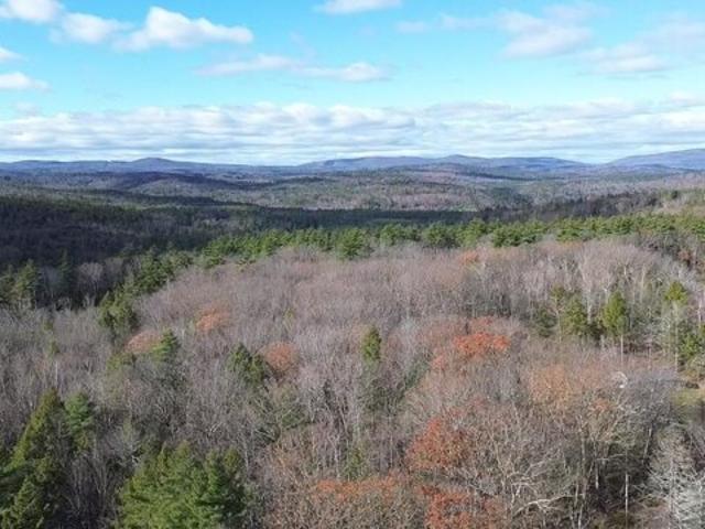 Captain Clark Hwy, Wilton, Plot For Sale
