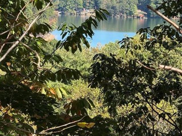 Captains Dr Lot 228, Nebo, NC 28761