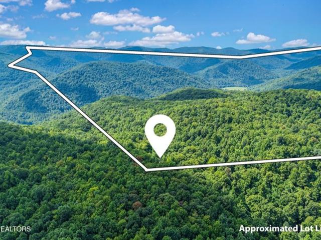 Capuchin Rd, Oneida, TN 37841