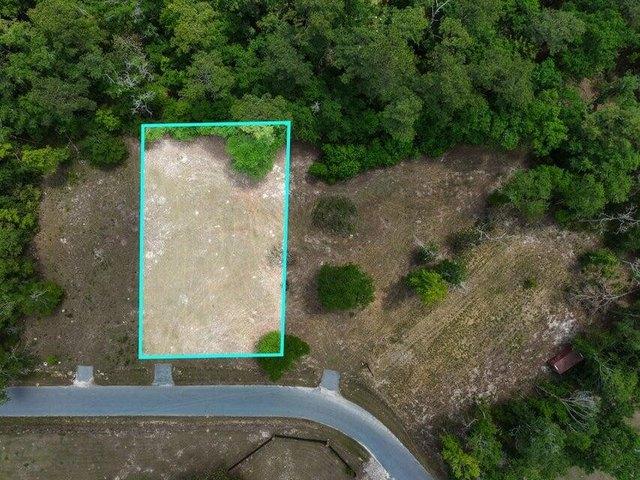 Capers Rd, Walterboro, SC 29488