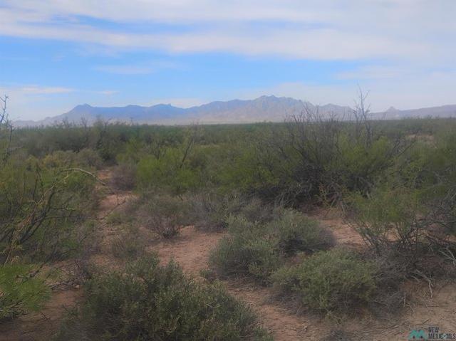 Capitol Dome Rd SE, Deming, NM 88030