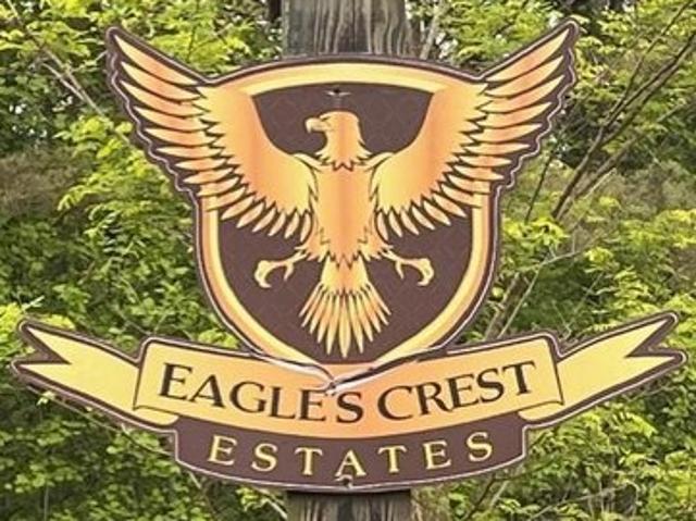 Cartecay View Ln Lot 60, Ellijay, GA 30536