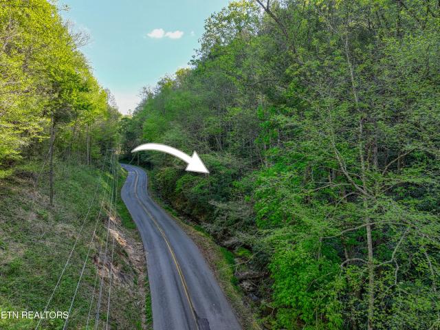 Cartertown Rd, Gatlinburg, TN 37738