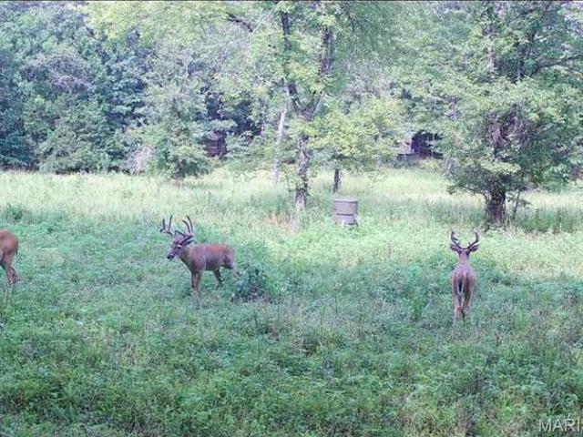 Carter 254, Grandin, MO 63943
