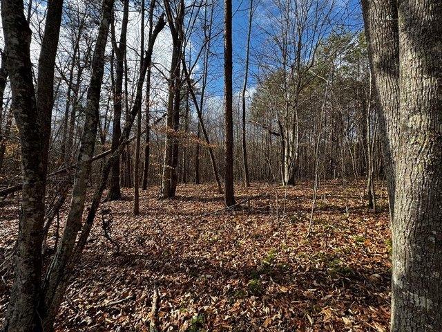 Carter Smith Rd, Brookneal, VA 24528
