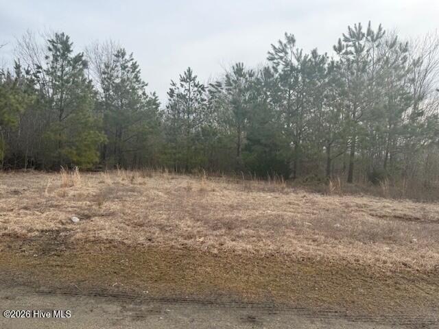 Carter St, Woodland, NC 27897