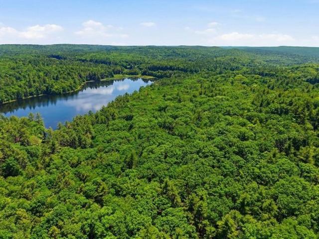 Carter Pond Rd, Petersham, MA 01366
