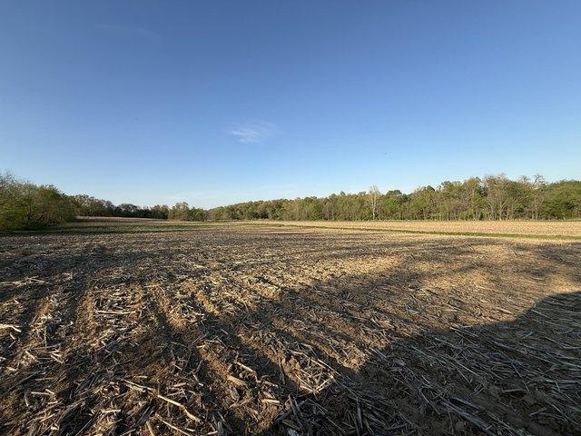 Carter Rd, Mayfield, KY 42066
