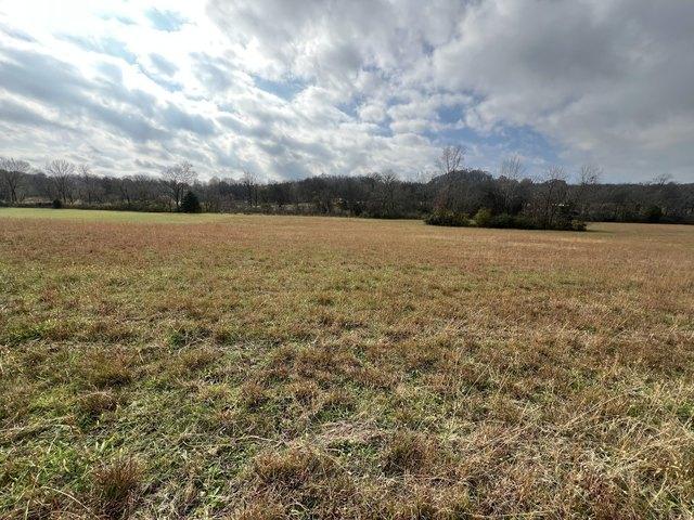 Carters Creek Pike, Columbia, TN 38401