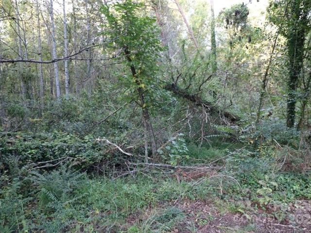 Carver Ln, Forest City, NC 28043