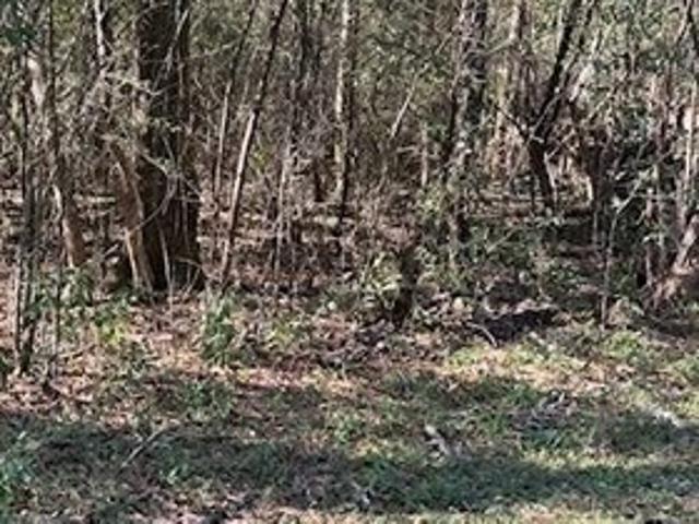 Cary Hamilton Rd, Theodore, AL 36582