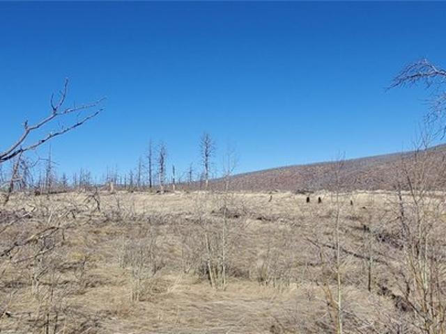 Cary Ln Lot 1566, Fort Garland, CO 81133