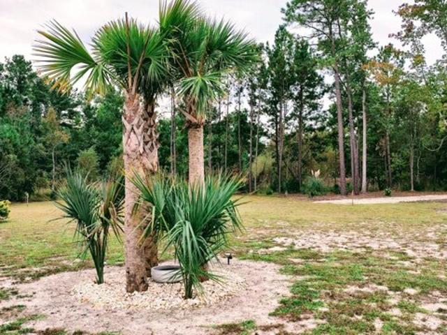 Caracara Dr, New Bern, Plot For Sale