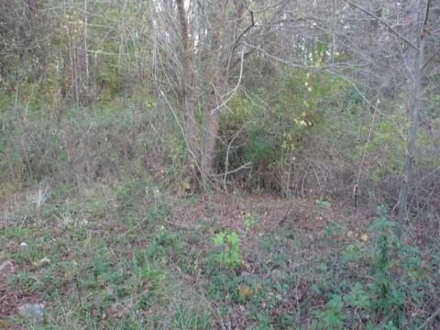 Caravan Ln, Mocksville, Plot For Sale