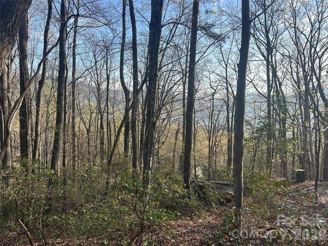 Cardinal Rd Lot 301, Lake Lure, NC 28746
