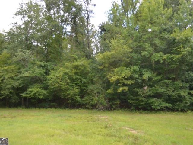 Cardiff Lot 13, Juliette, GA 31046