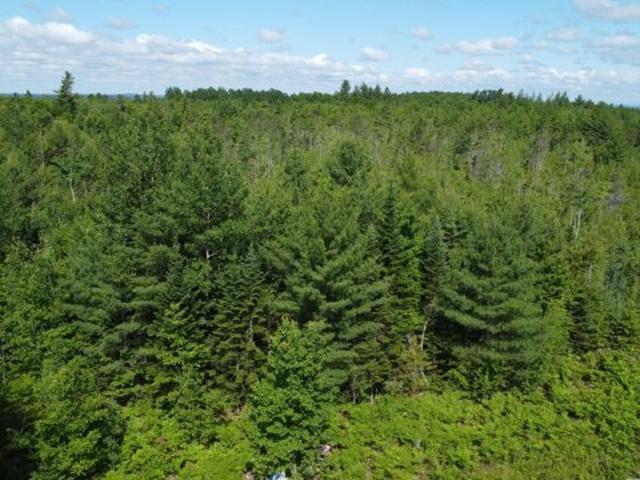 Cardville Rd, Greenbush, Plot For Sale