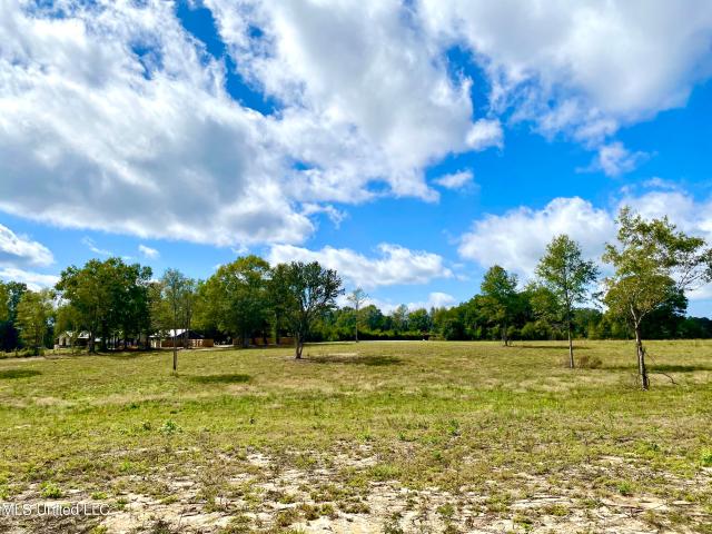 Carey Byrd Road, Carriere, MS 39426