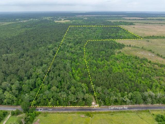 Carl Hoppe Rd, Iowa, LA 70647