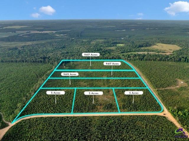 Carl Rodgers Rd Parcel 12, Reynolds, GA 31076