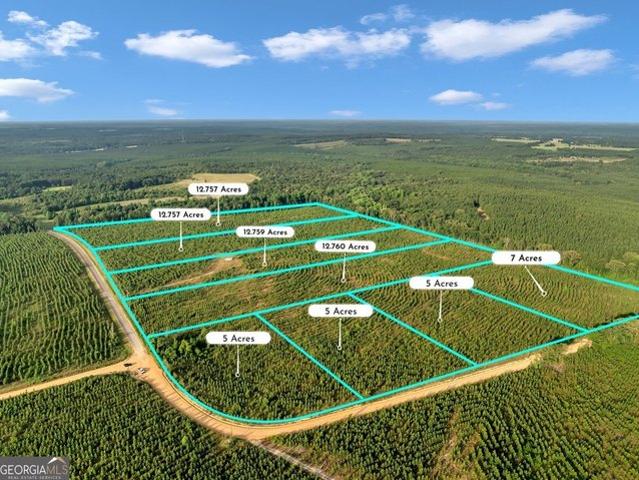 Carl Rodgers Rd Parcel 8, Reynolds, GA 31076