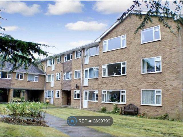 Carlisle Avenue, St Albans AL3, 1 bed flat to rent, £1,395 pcm | PrimeLocation