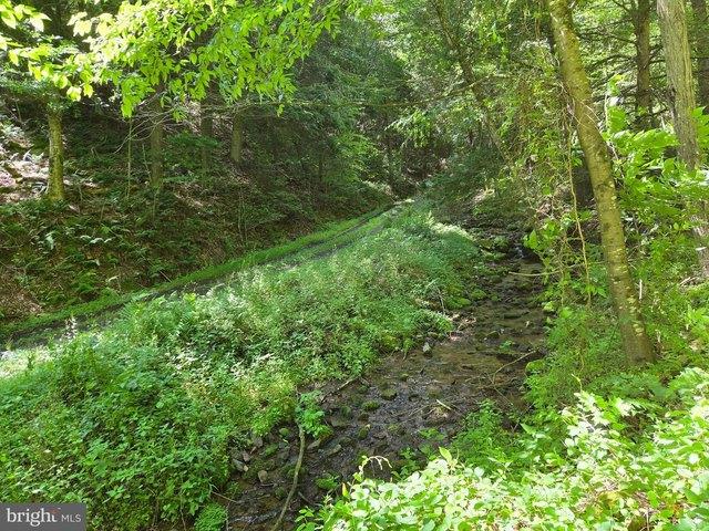 Carlisle Gap Rd, Lewistown, PA 17044