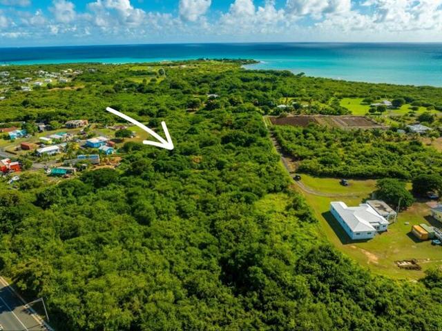 Carlton We, Saint Croix, Plot For Sale