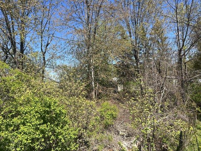 Carman Ave Lot 122, Houghton Lake, MI 48629