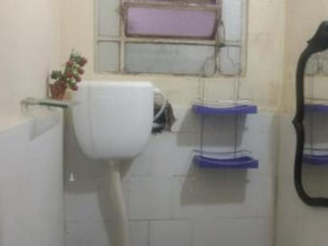 Carnaval, alugo de 15 a 24 de Fevereiro 1 casa + anexo