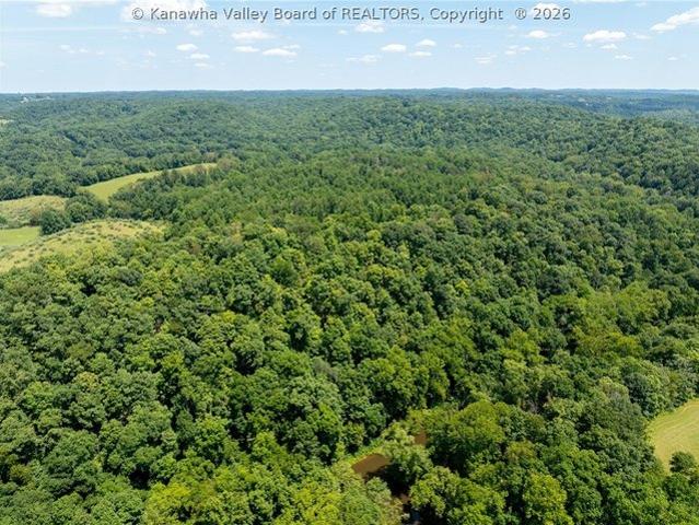 Carney Ln, Leon, WV 25123