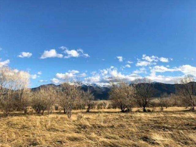 Carney Ln, Whitehall, MT 59759