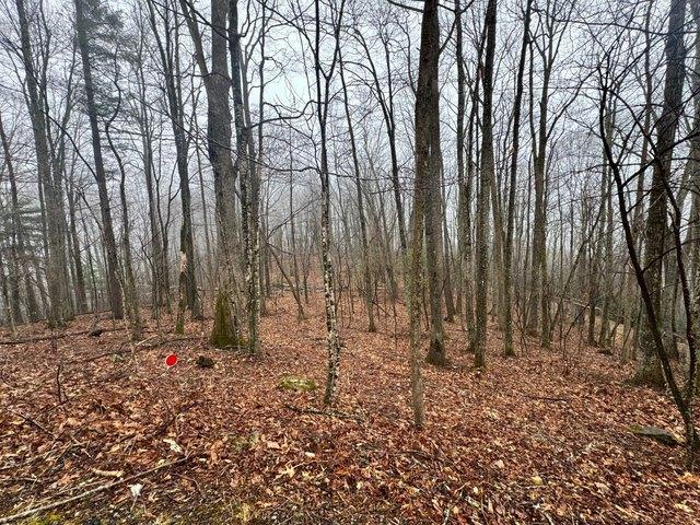 Carolida Acres, Newland, NC 28657