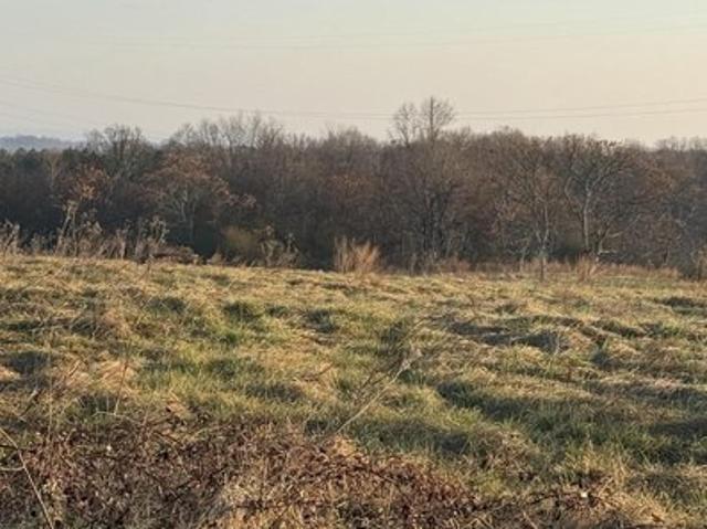 Carolina Ridge Rd Lot 10, Gaffney, SC 29341