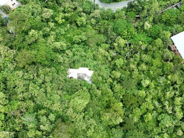 Carolina, Saint John, Plot For Sale