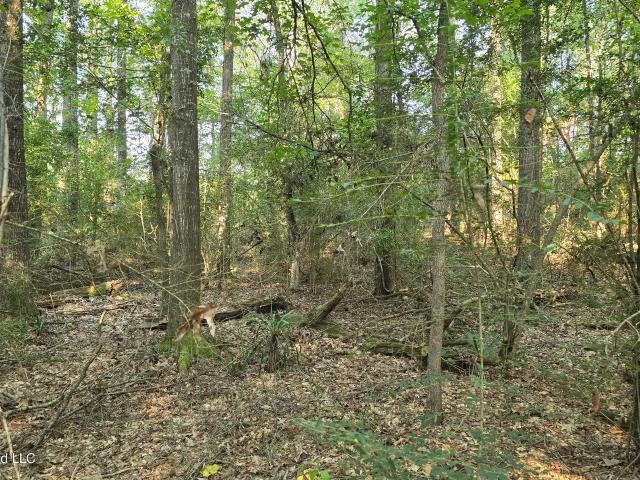 Carolina Street, Roxie, MS 39661